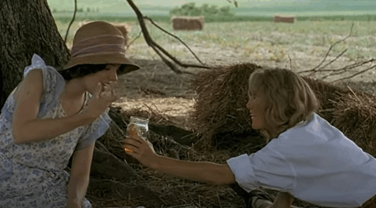 What Was the Message in the Movie Fried Green Tomatoes? – entert.online