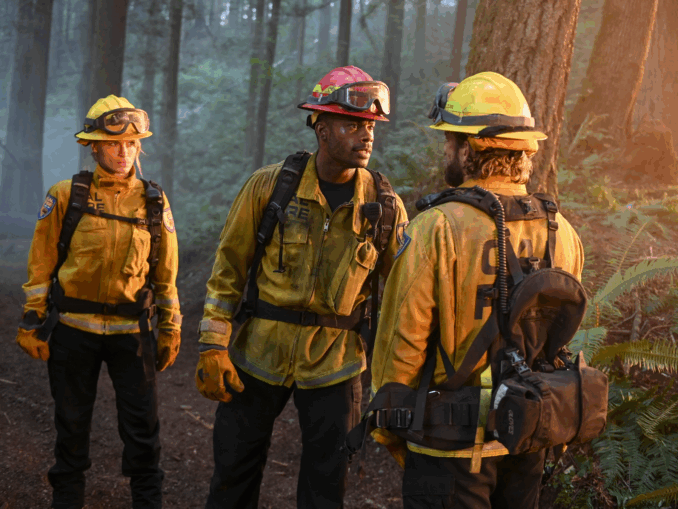 Vince’s Shocking Death in Fire Country: Why Billy Burke Didn’t Return md25 – entert.online